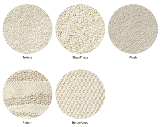 How to Choose the Perfect Pet-Safe Carpet for You | Honey Built Home