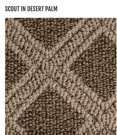 How to Choose the Perfect Pet-Safe Carpet for You | Honey Built Home