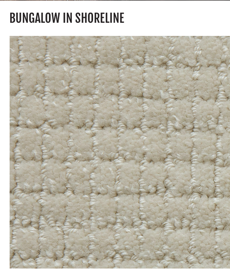 How to Choose the Perfect Pet-Safe Carpet for You | Honey Built Home