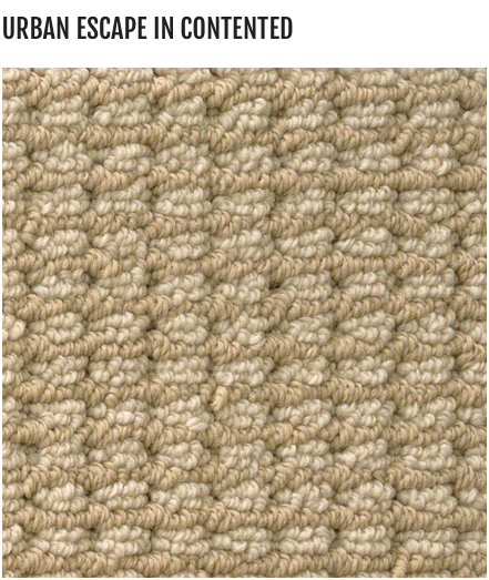 How to Choose the Perfect Pet-Safe Carpet for You | Honey Built Home