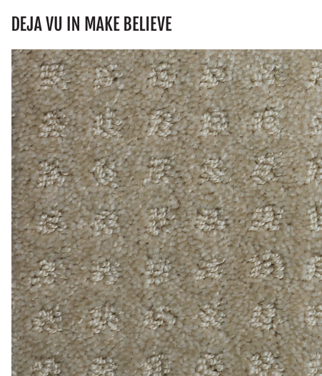 How to Choose the Perfect Pet-Safe Carpet for You | Honey Built Home